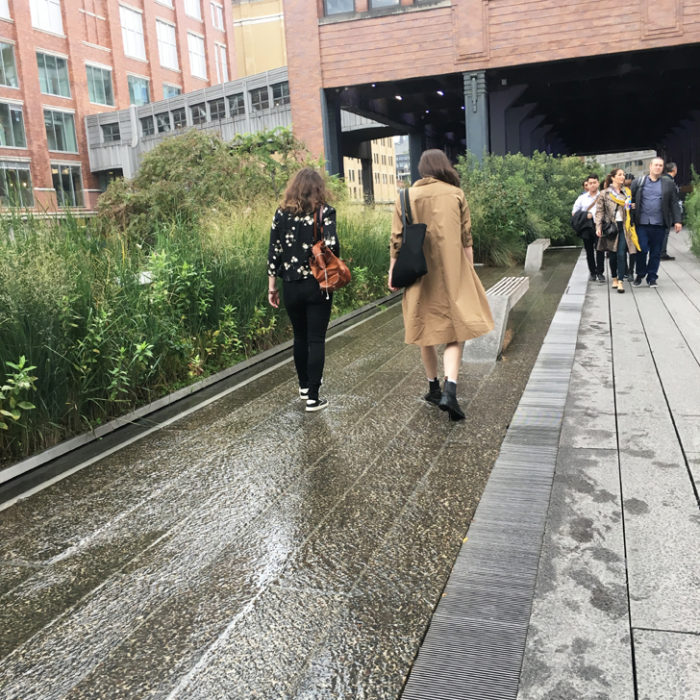 Walking the High Line Park in New York