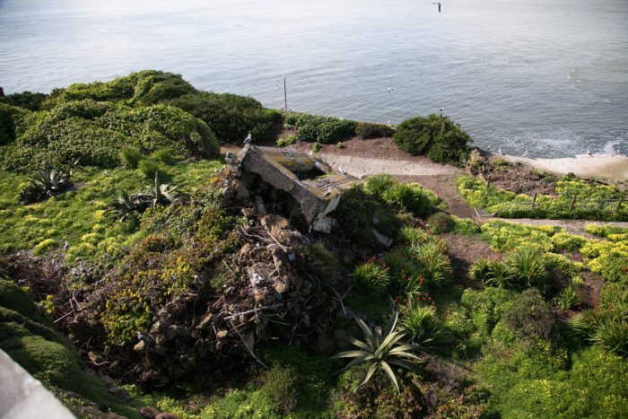 Is Alcatraz worth a visit? Exploring the iconic Rock