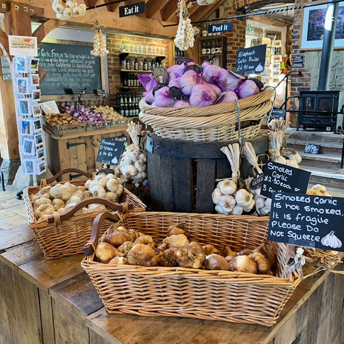 Ten Things to do on Isle of Wight