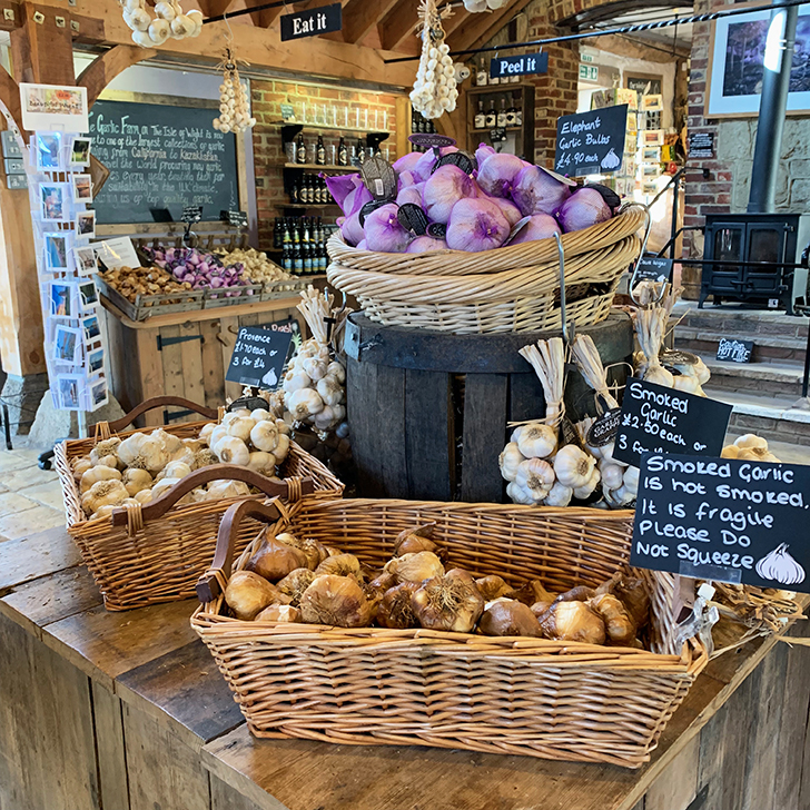 Ten Things to do on Isle of Wight - Travel for a Living