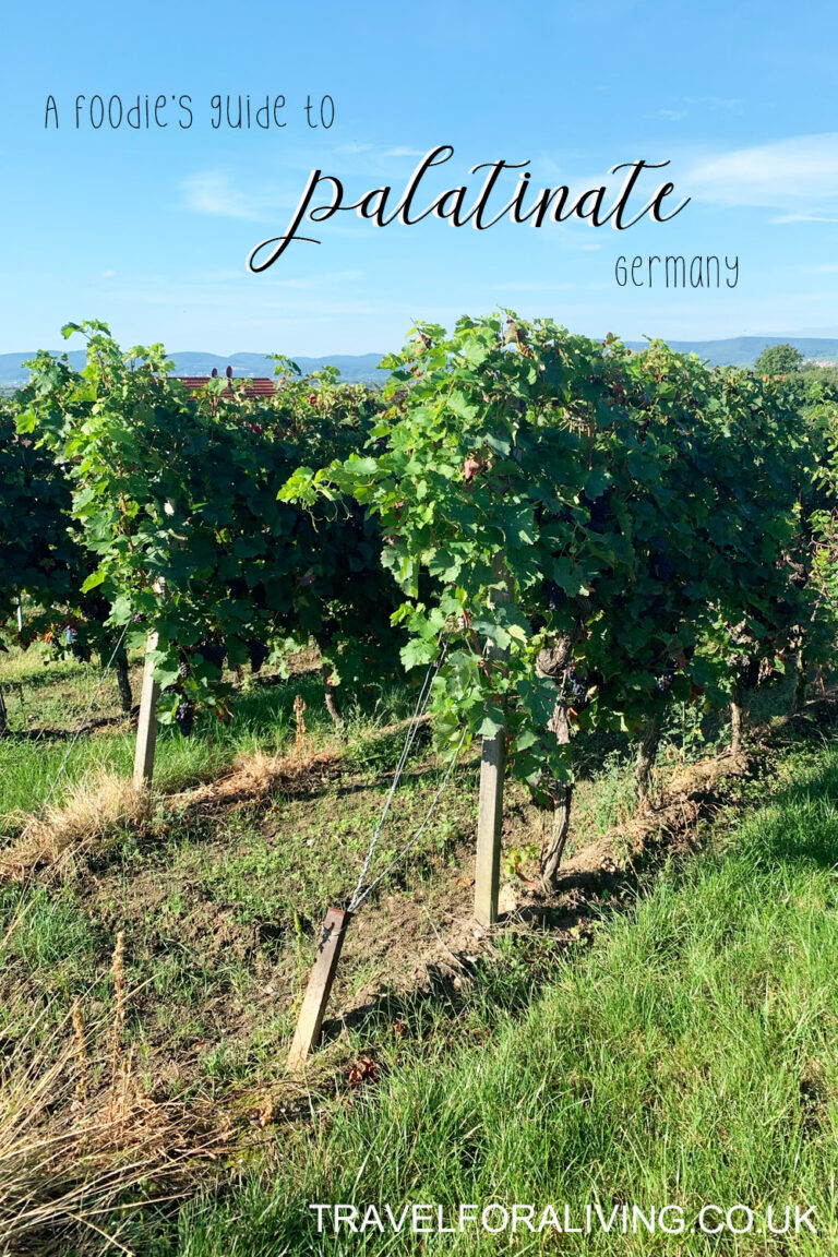 Typical Palatinate Dishes to try