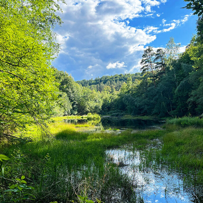 13 Things to See + Do in Palatinate (Germany)
