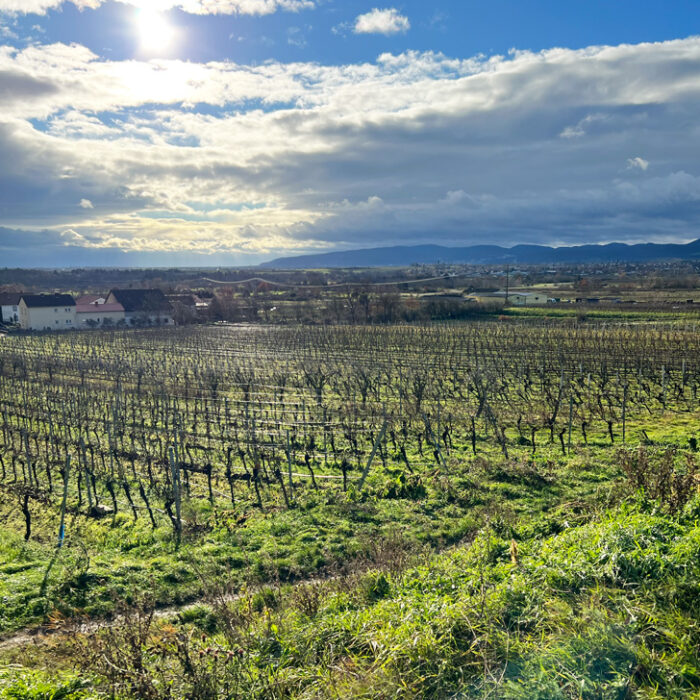 13 Things to See + Do in Palatinate (Germany)